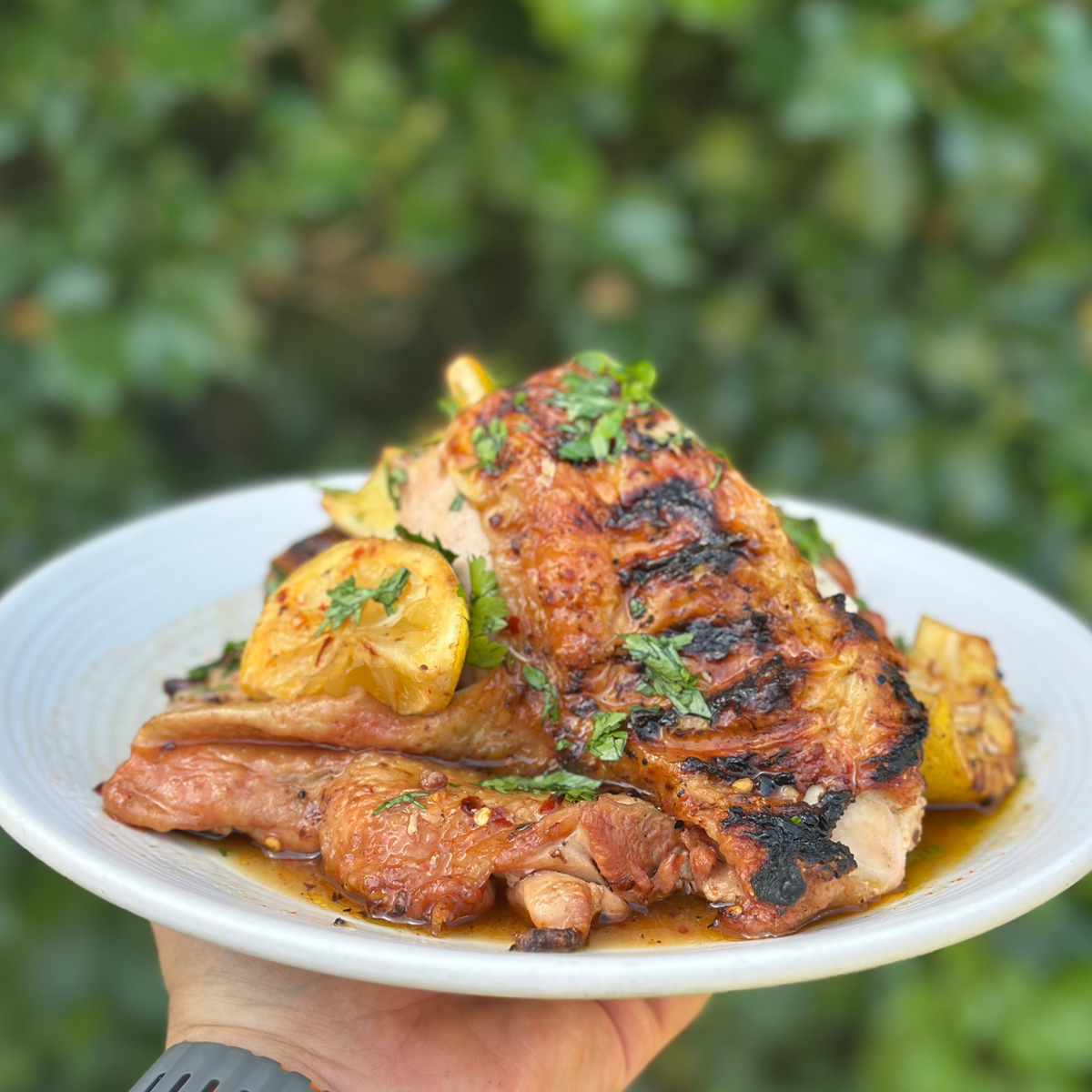 Smoked Boneless Chicken with Sichuan Pepper, Chilli, Ginger & Lemon by ...